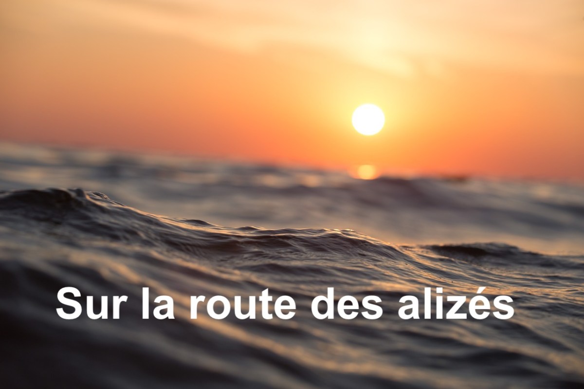 comment naviguer dans la alizés en décembre : direction des Antilles ...
